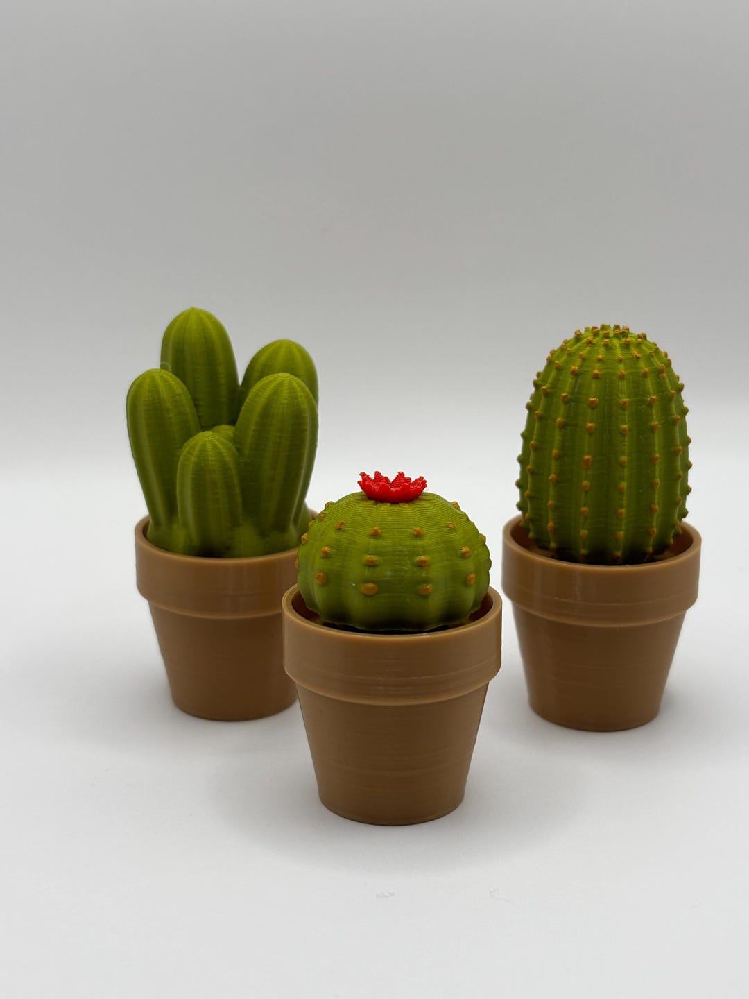 Cactus Clicky Fidget Trio: ASMR Stim Toy Set - Etsy
