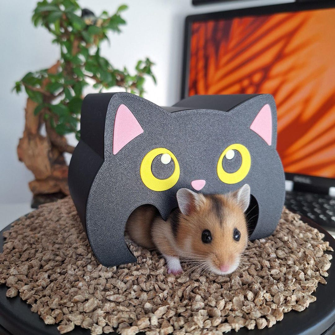 3D Printed Hamster Hideout: Dwarf Hamster House, Cat Design - Etsy