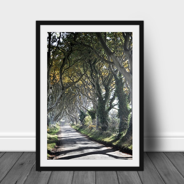 Nature Photography - Etsy