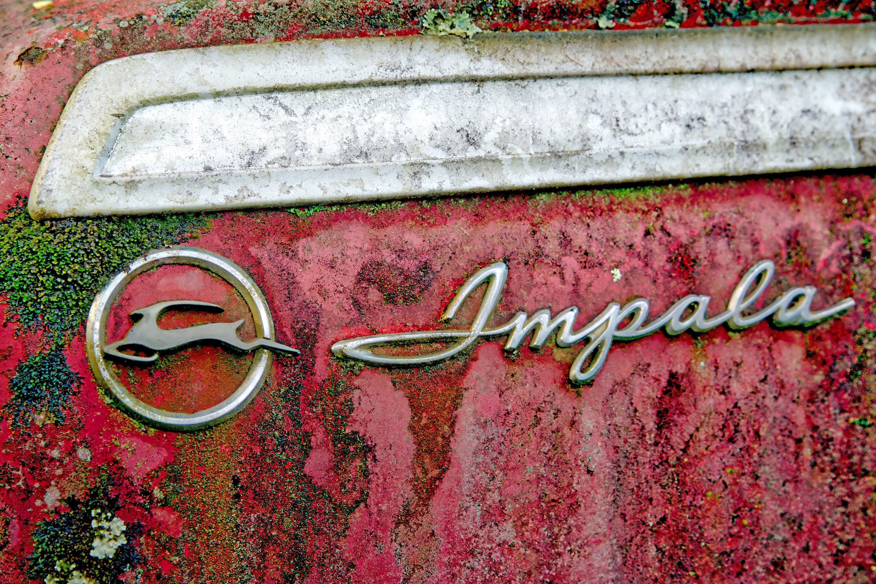 Chevy Impala Emblem Photo: Automotive Art Print, Garage Decor - Etsy