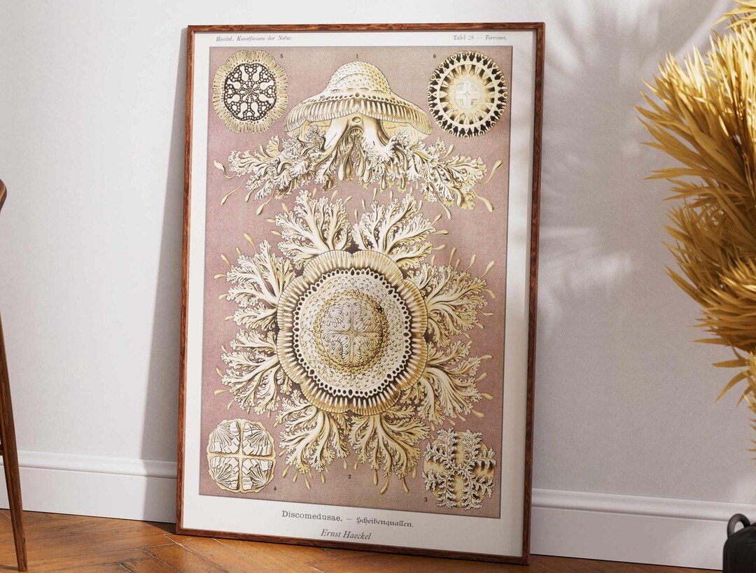 Ernst Haeckel Poster Vintage, Illustrated Works, High Quality Print ...