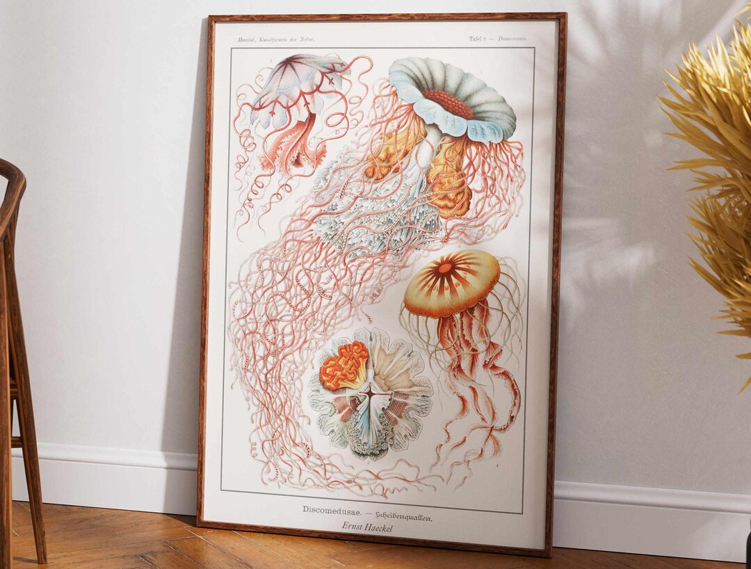 Ernst Haeckel Poster Vintage, Illustrated Works, High Quality Print ...