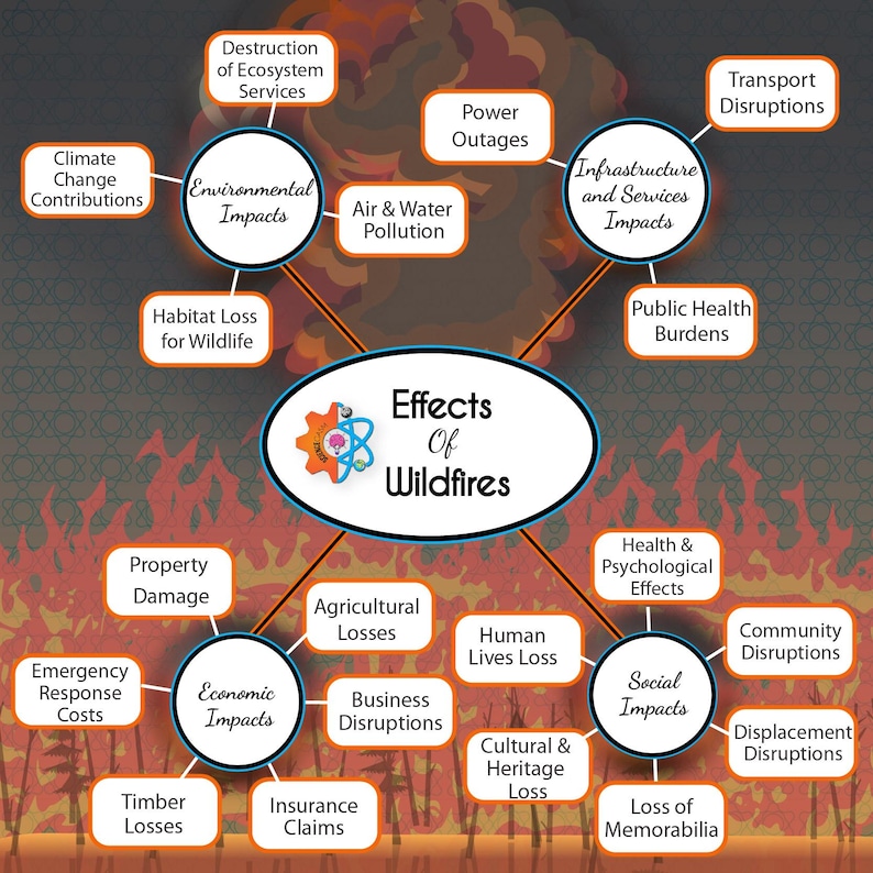 Wildfire Science Posters: Causes, Effects, Prevention (digital Download ...