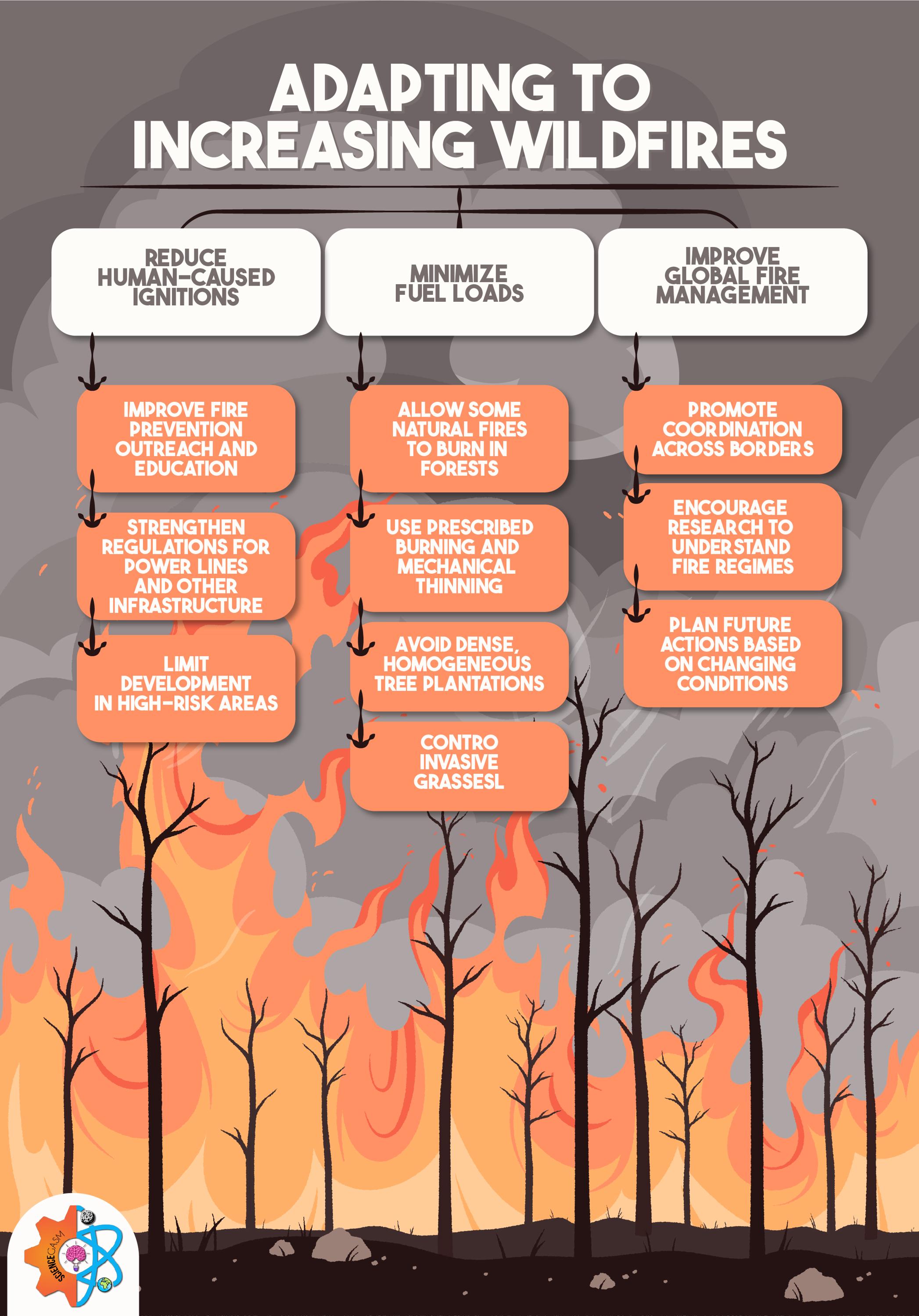 Wildfire Science Posters: Causes, Effects, Prevention (digital Download ...
