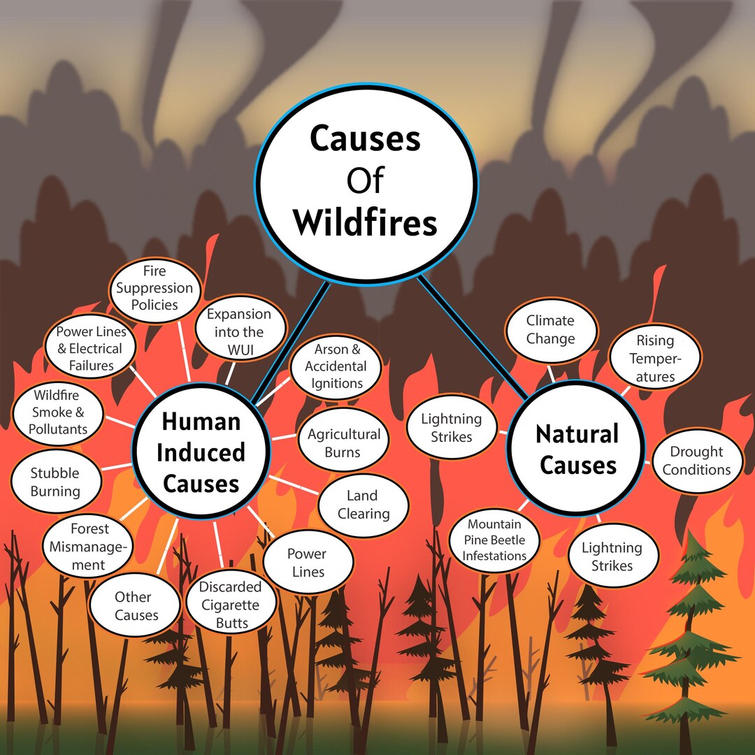 Wildfire Science Posters: Causes, Effects, Prevention (digital Download ...