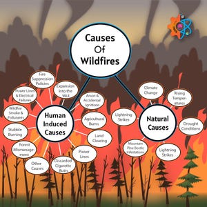Wildfire Science Posters: Causes, Effects, Prevention (digital Download ...