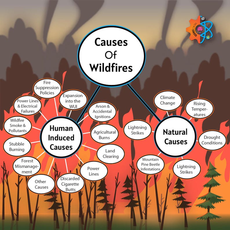 Wildfire Science Posters: Causes, Effects, Prevention (digital Download ...