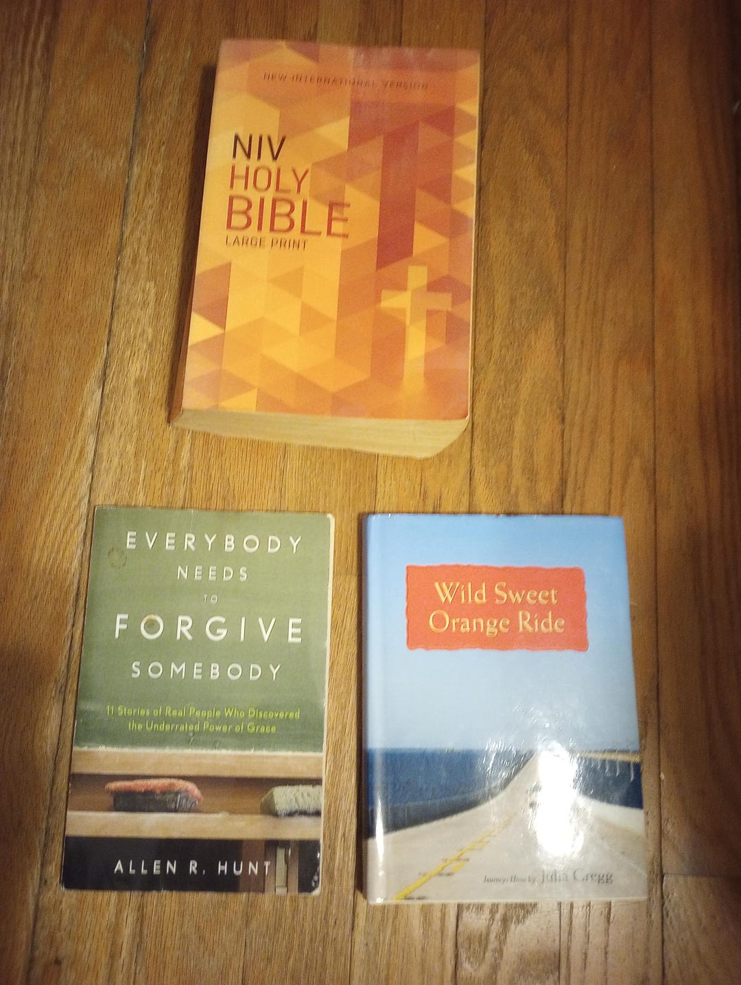 Everybody Needs to Forgive-holy Bible Niv Large Print--orange Ride--bin ...