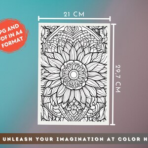 Printable Animals Coloring Book: 16 Relaxing Pages (digital PDF ...