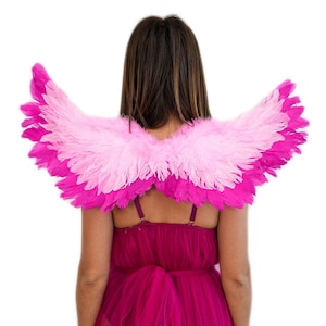 Pink Fairy Wings for Girls or Women, Pink Costume Feather Angel Wings ...