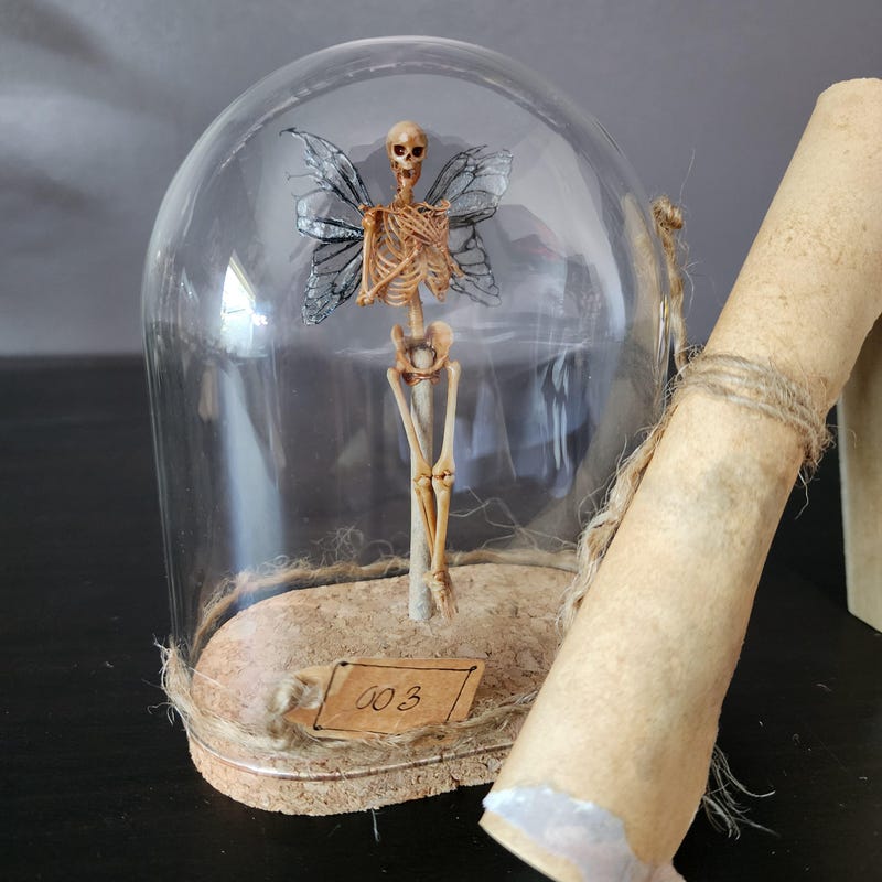 Fairy Skeleton - Etsy