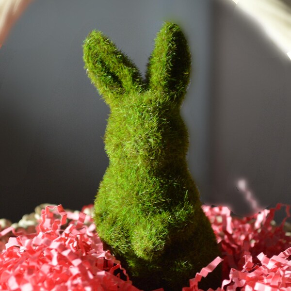 Green Bunny Rabbit - Etsy