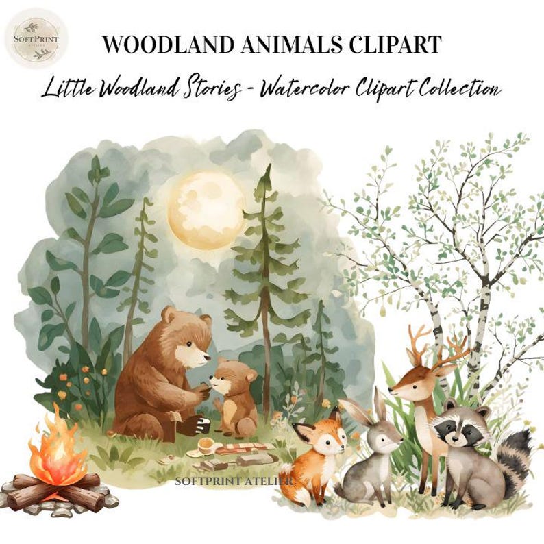 Woodland Animals Clipart Watercolor PNG Bundle, Baby Forest Animals ...