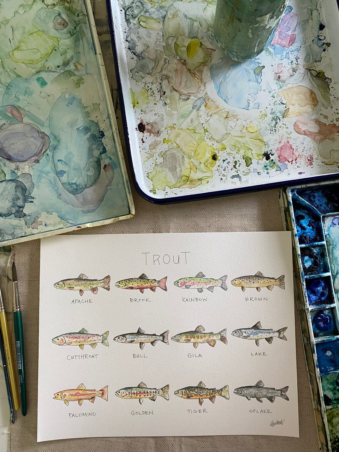 Trout Life Story Art Print Watercolor | Etsy