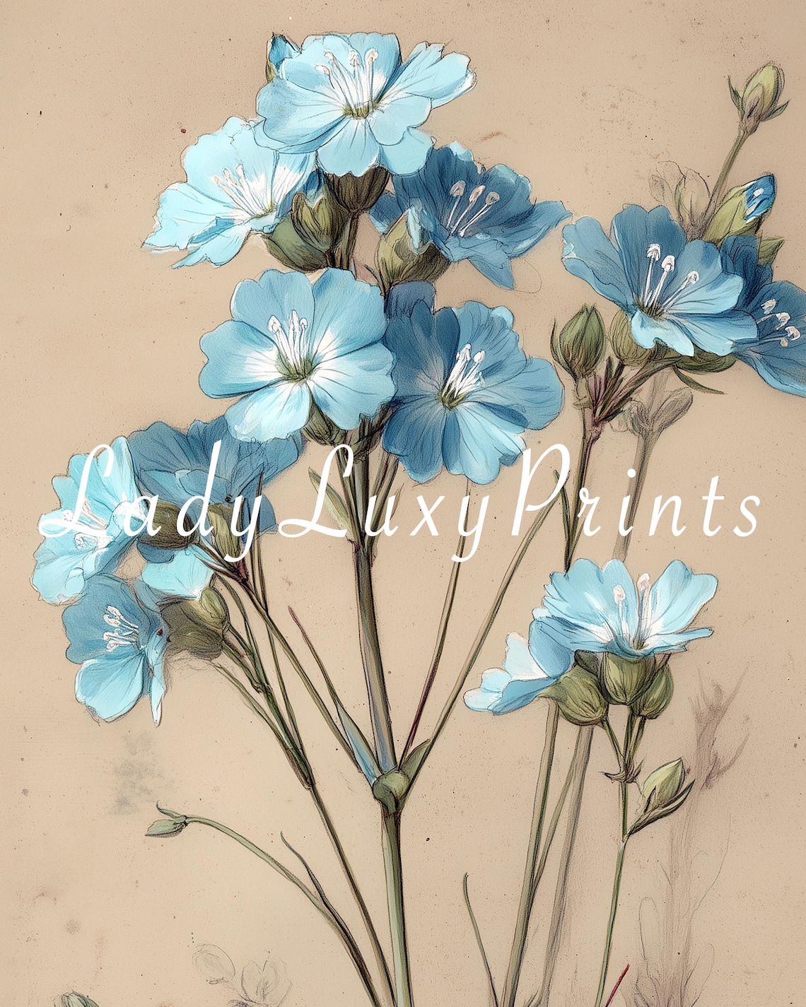 Blue Wildflower Botanical Print: Vintage Floral Illustration (digital ...