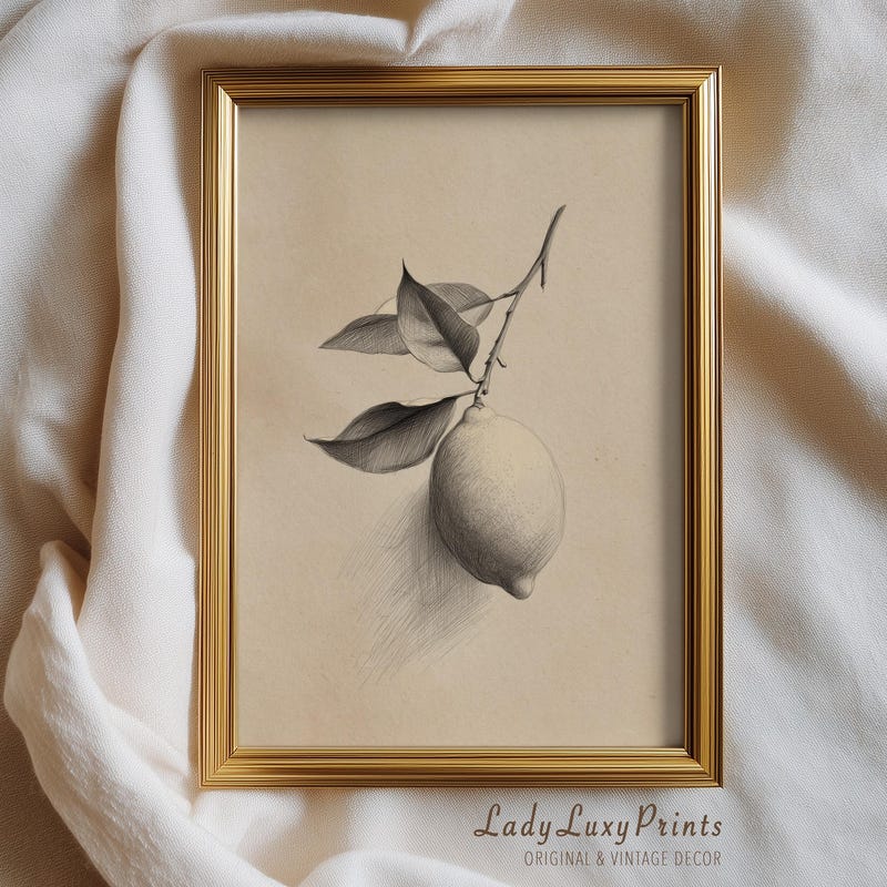 Pencil Drawing Fruit - Etsy