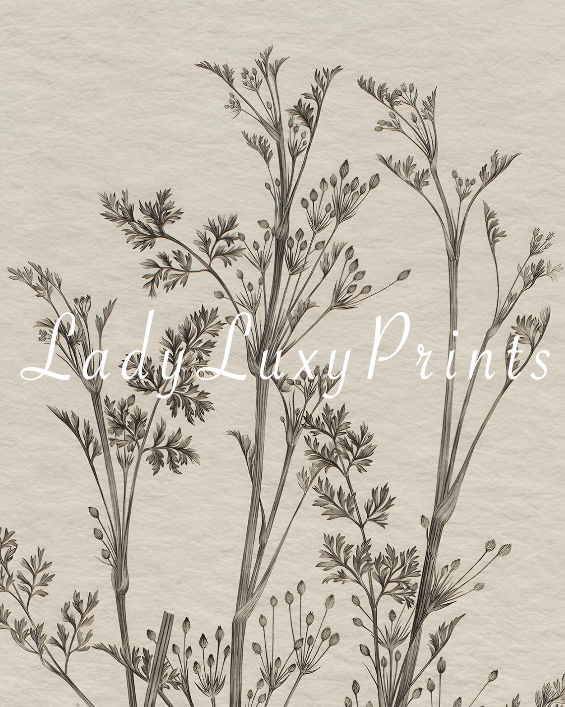Vintage Botanical Art Print: Antique Flower Drawing (digital Download ...