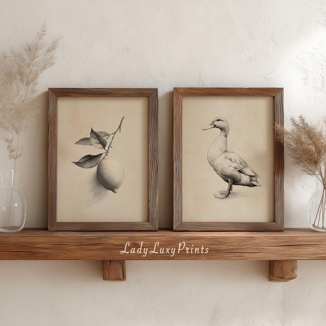 Duck and Lemon Sketch Print Set: Rustic Farmhouse Wall Art (digital ...
