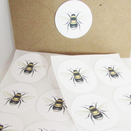 Bee Stickers Bumble Bee Labels Bee Scientific Illustration | Etsy