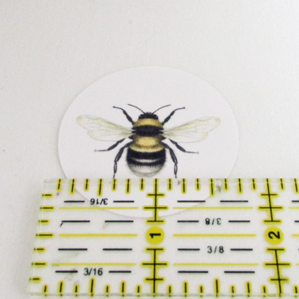 Bee Stickers, Bumble Bee Labels, Bee Scientific Illustration, Eco ...