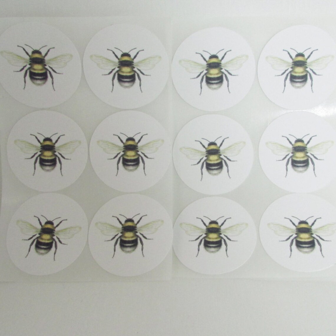 Bee Stickers Bumble Bee Labels Bee Scientific Illustration - Etsy