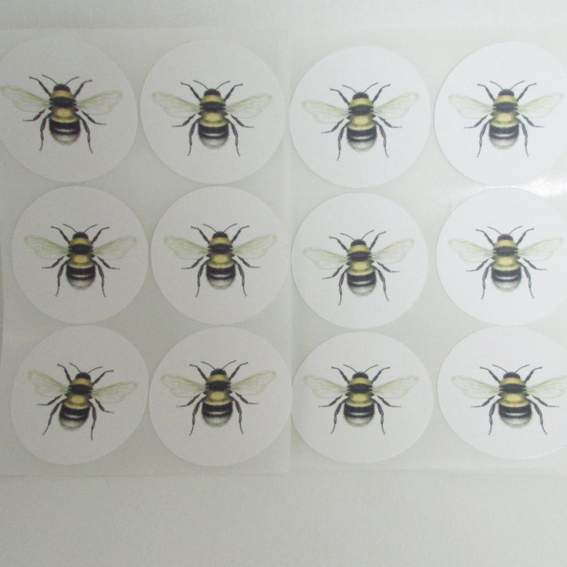 Bee Stickers Bumble Bee Labels Bee Scientific Illustration - Etsy
