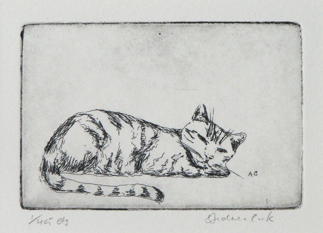 Original Etching of Sleeping Cat - Etsy