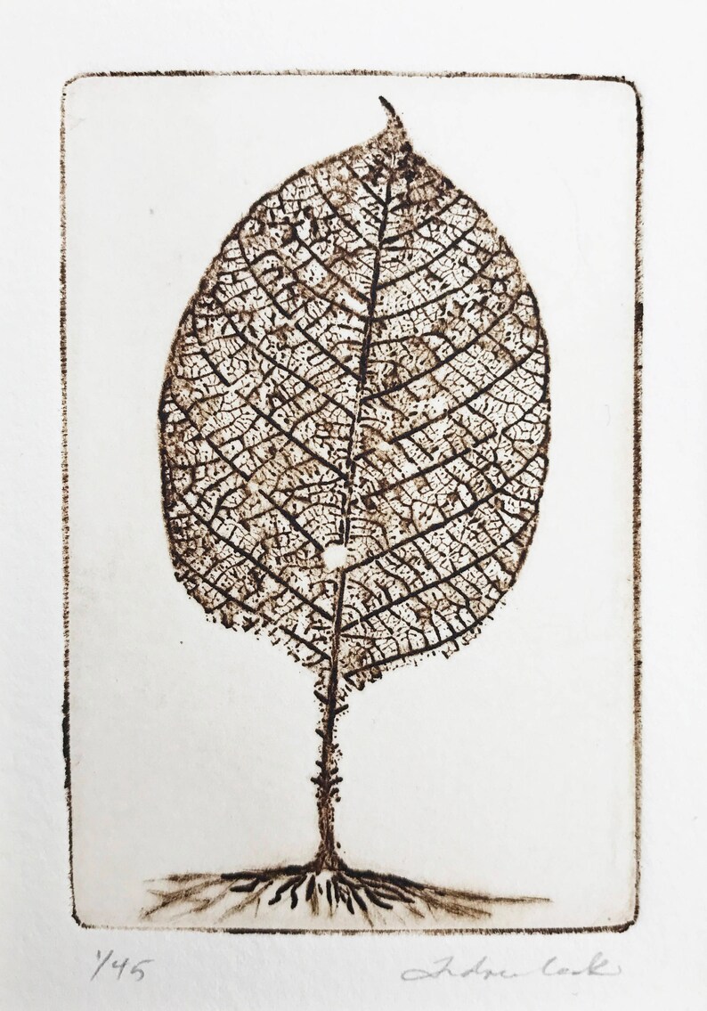 Original Etching of a Tree - Etsy