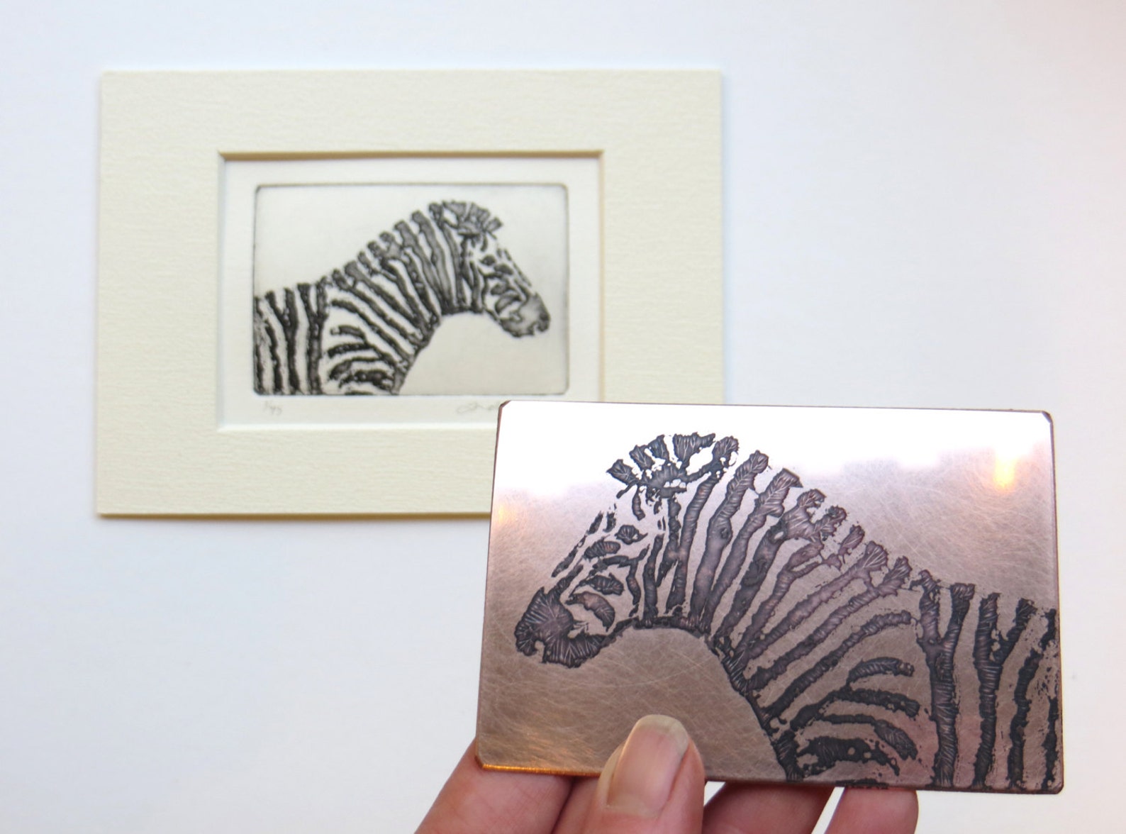 Zebra Original Etching and Aquatint. - Etsy
