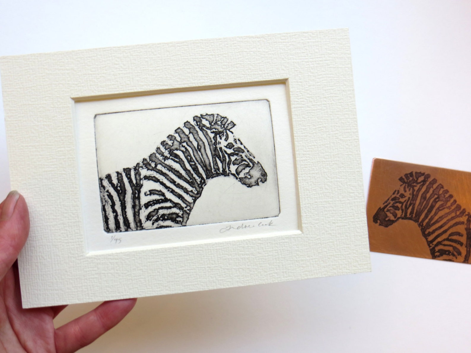 Zebra Original Etching and Aquatint. - Etsy