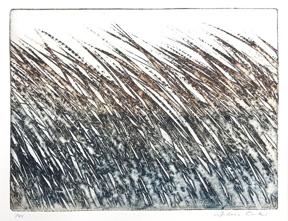 Original Etching and Aquatint of Grasses - Etsy