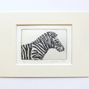 Zebra - Original Etching and Aquatint. - Etsy