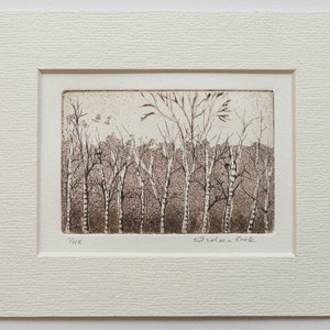 Original Etching and Aquatint of Woodland Trees - Etsy