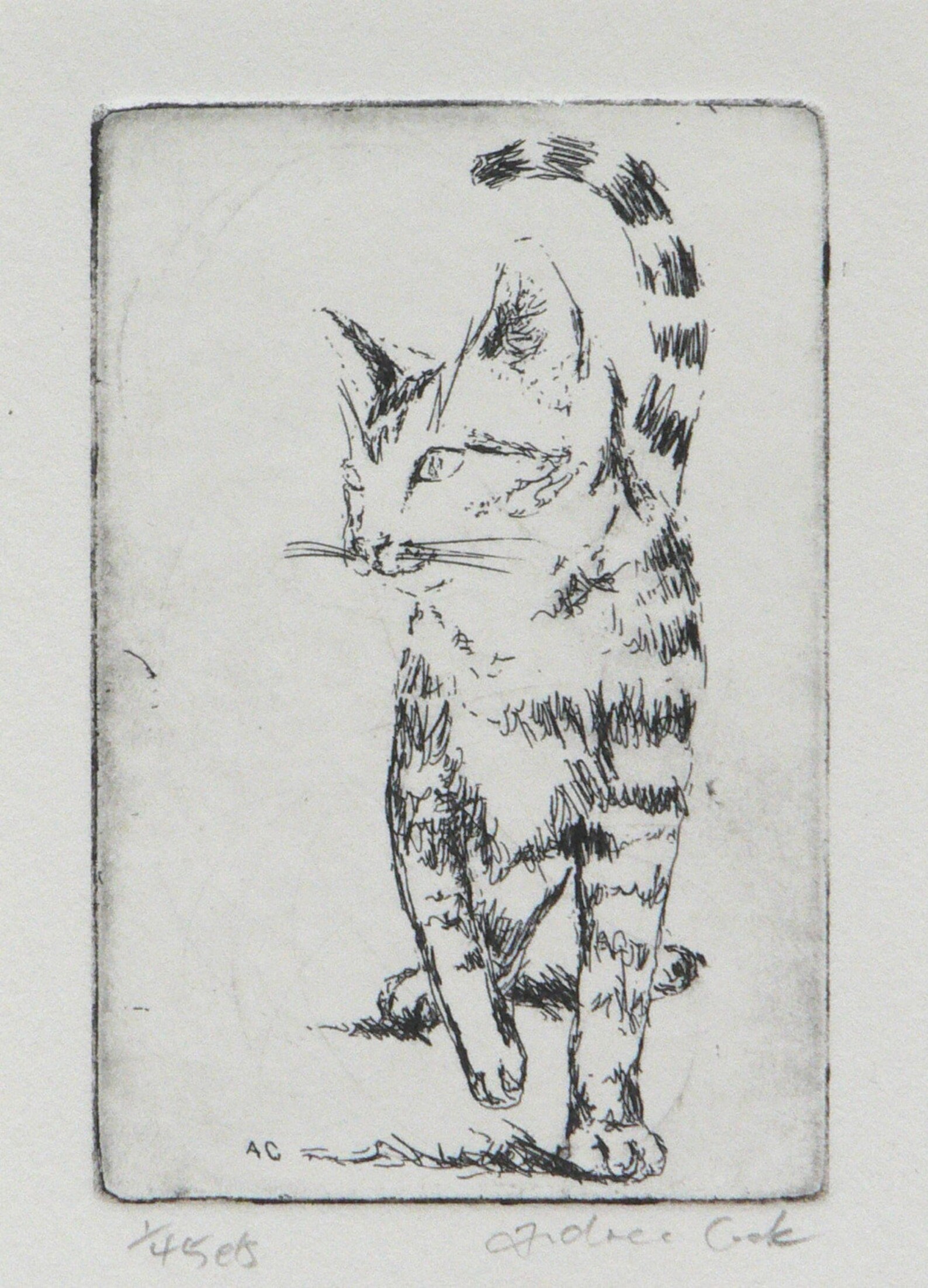 Original Etching of a Cat Walking - Etsy