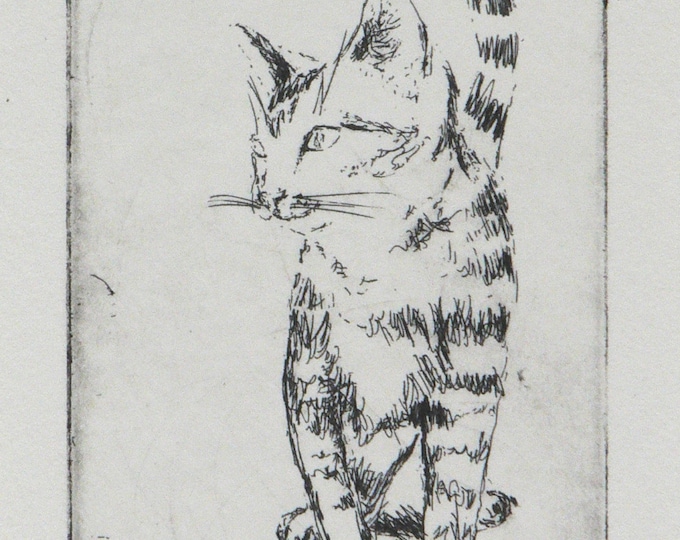 Original Etching of a Cat Walking - Etsy