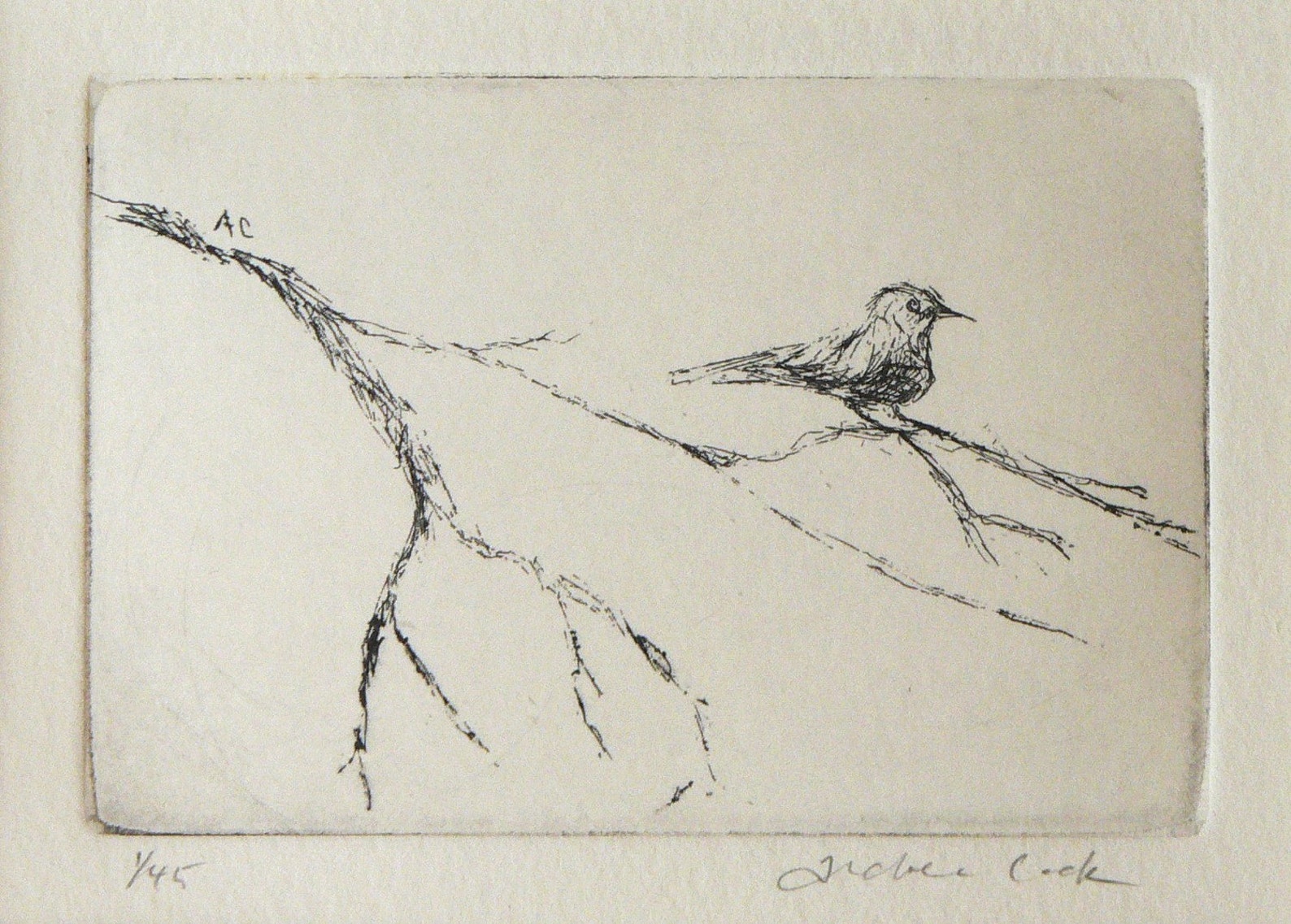 Original Etching of a Bird on a Branch - Etsy