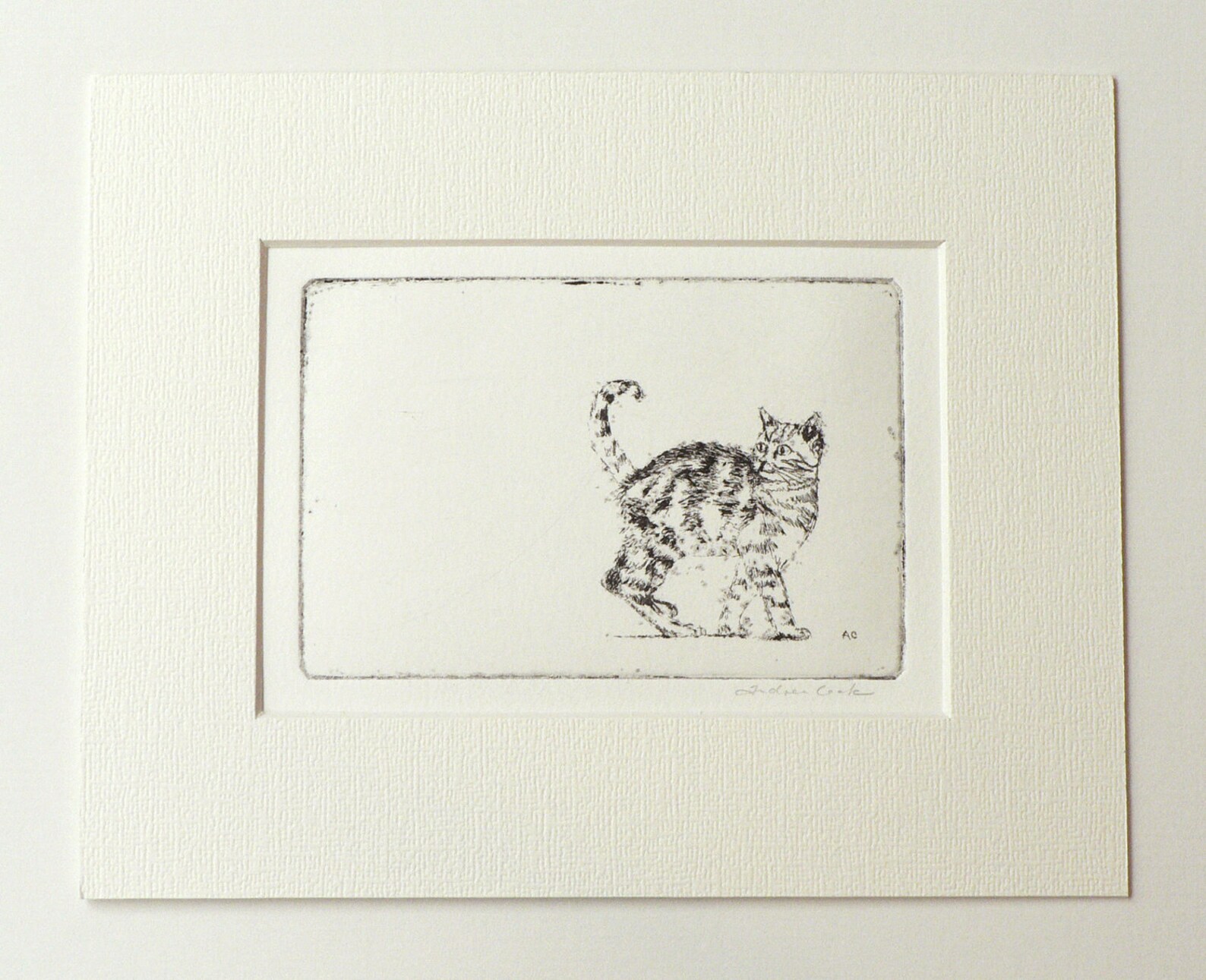 Original Etching of a Curious Walking Cat | Etsy