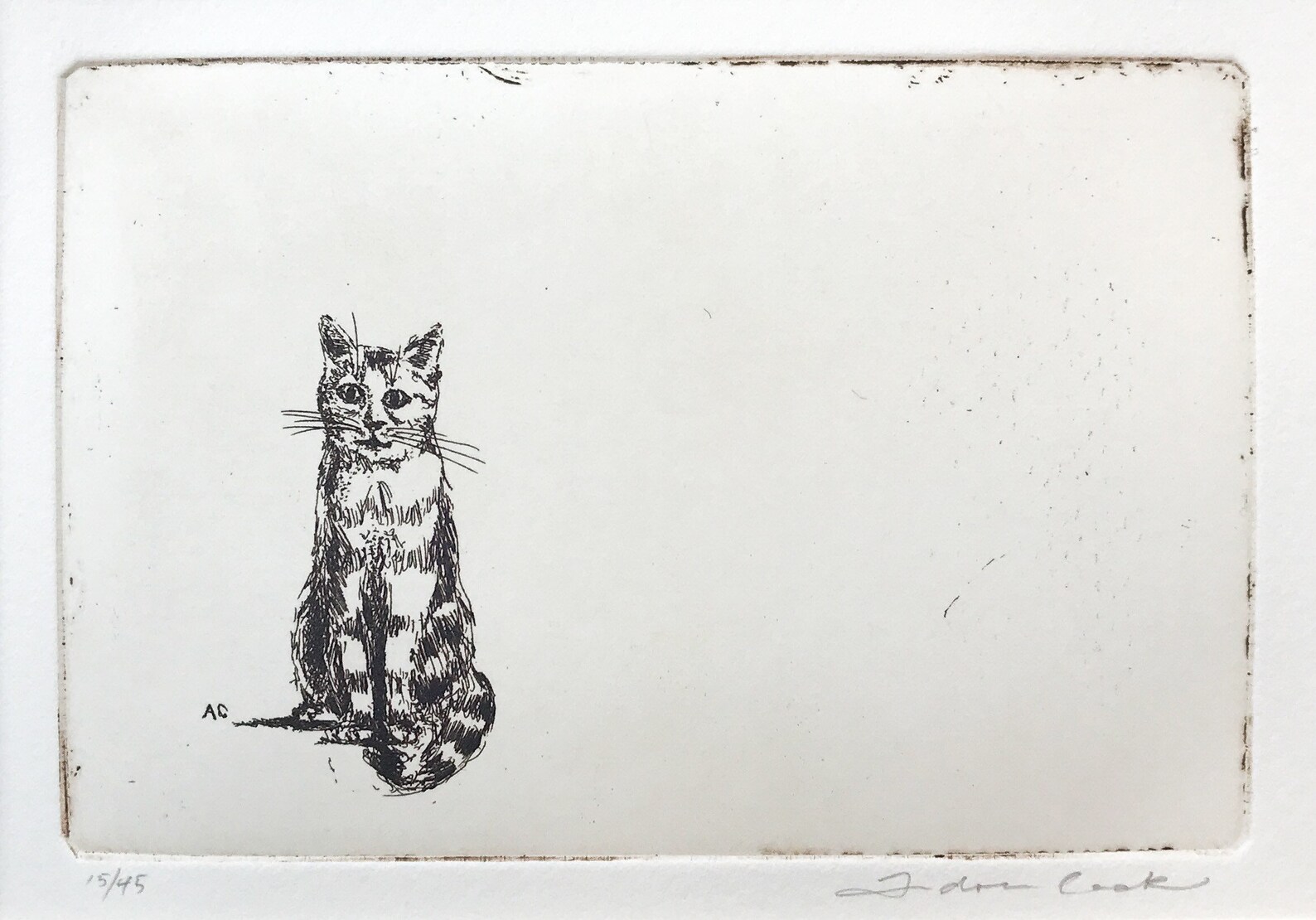 Original Etching of a Sitting Cat | Etsy