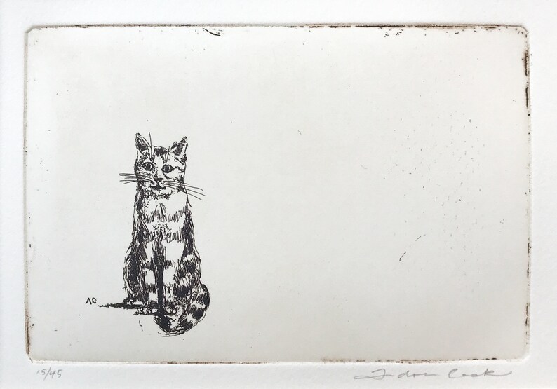 Original Etching of a Sitting Cat - Etsy