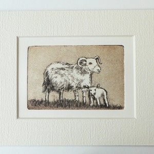 Original Etching of a Ewe and Her Lamb - Etsy