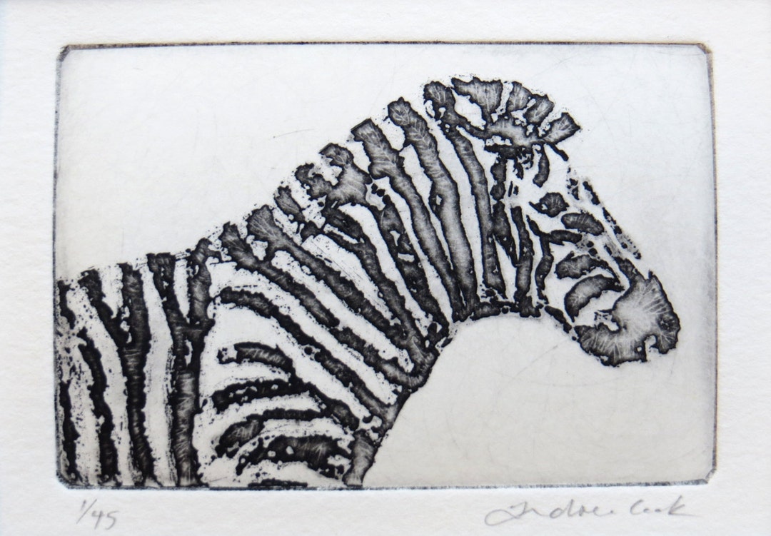 Zebra - Original Etching and Aquatint. - Etsy
