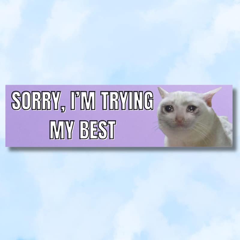 Funny Cat Sticker or Magnet - Etsy UK