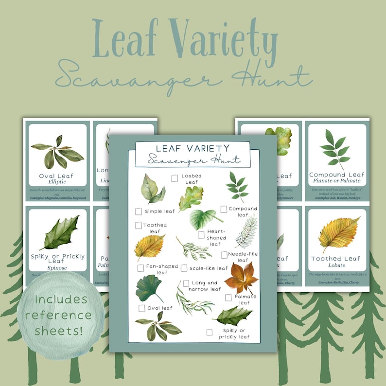 Outdoor Scavenger Hunt Cards Printable, Leaf Types Guide Nature ...