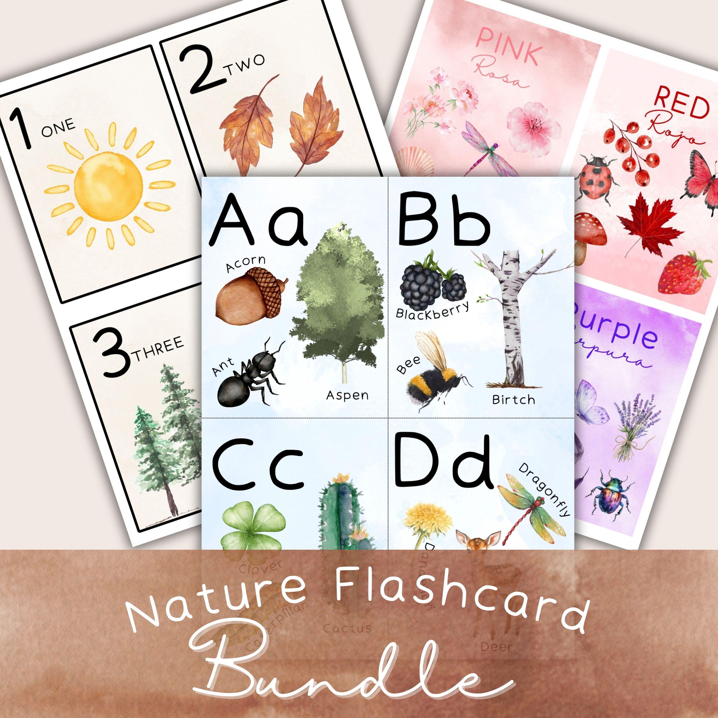 Nature Flashcards Bundle Printable Montessori-inspired Flash Cards ...