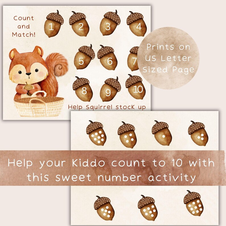 Number Matching Activity Counting Game | Number Recognition Nature ...
