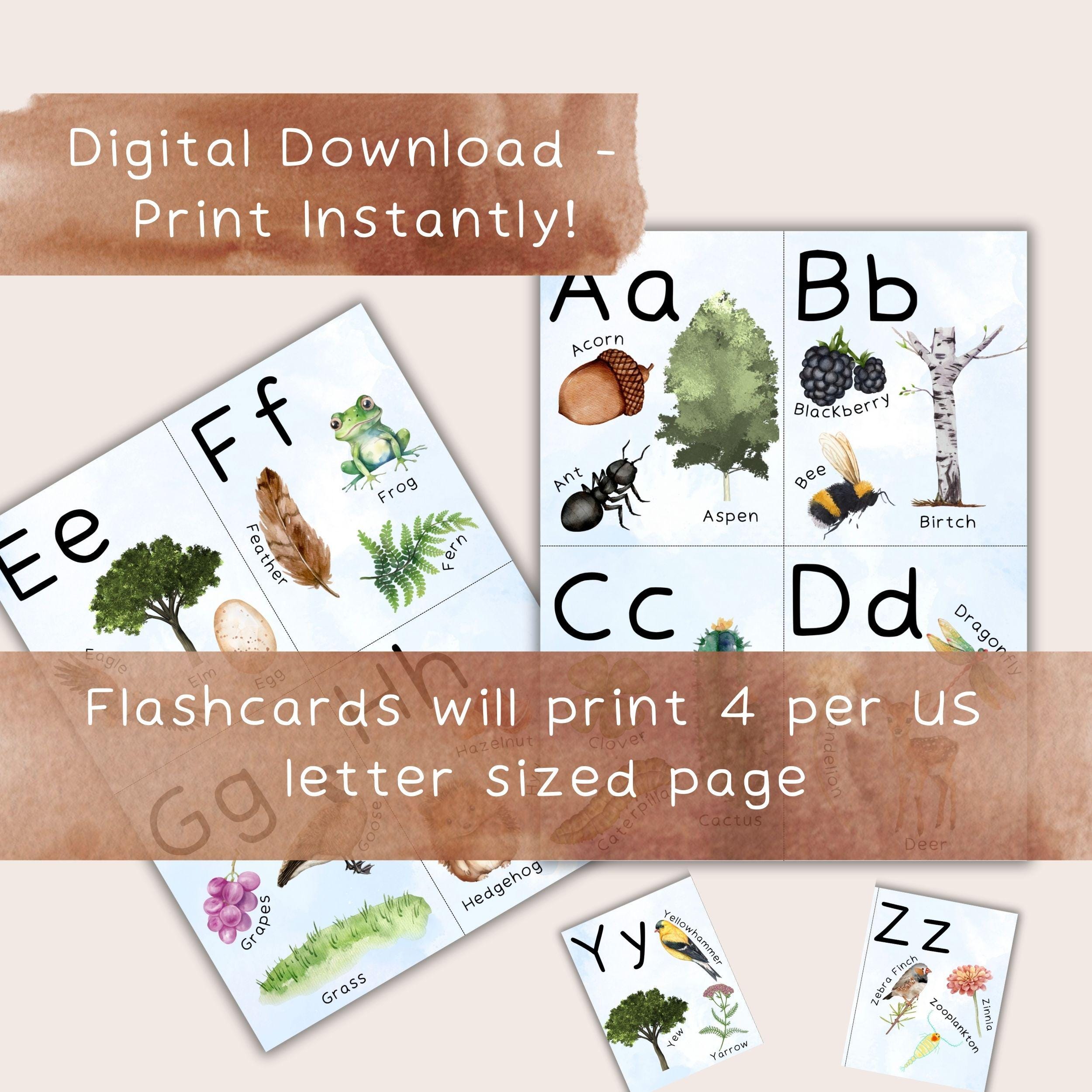Nature ABC Flashcards Printable – A to Z Nature-themed Alphabet Cards ...