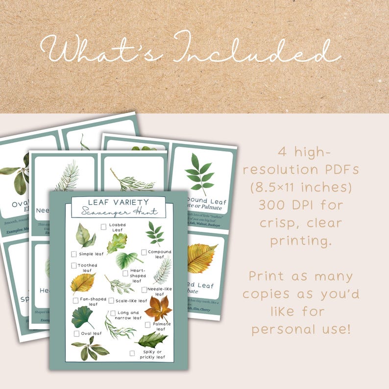 Outdoor Scavenger Hunt Cards Printable, Leaf Types Guide Nature ...