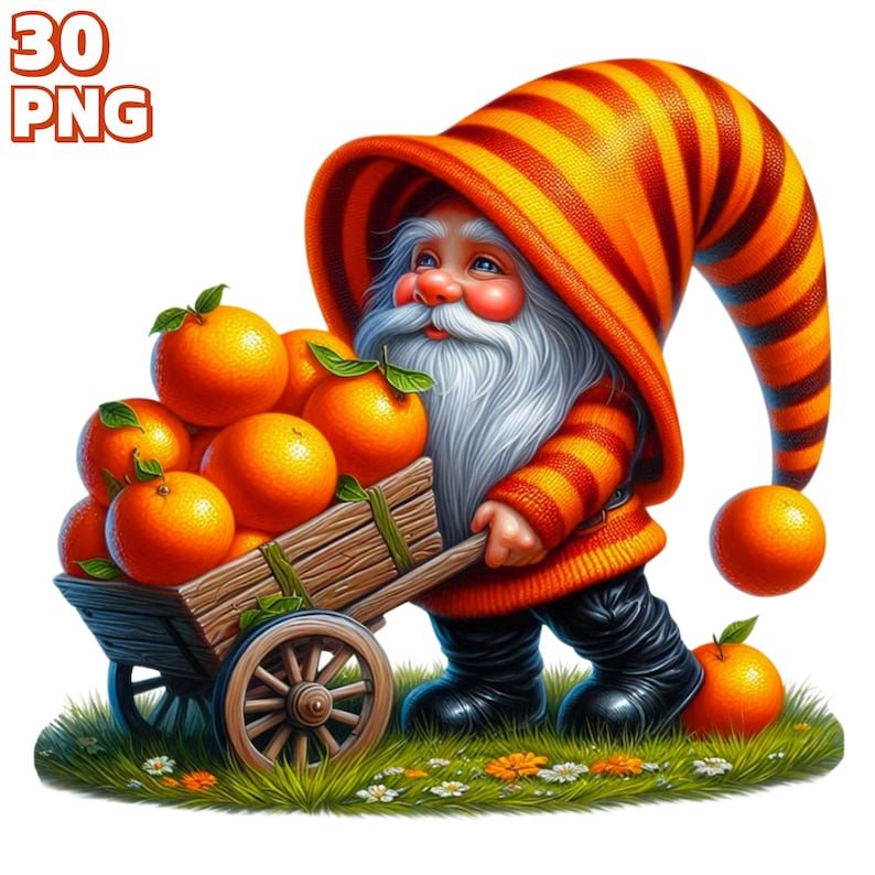 30 PNG Orange Gnomes Clipart , Fruit Gnome, Spring Gnome, Citrus Gnome ...