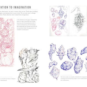 Drawing Basics and Beyond: Transform Observation Into Imagination ...