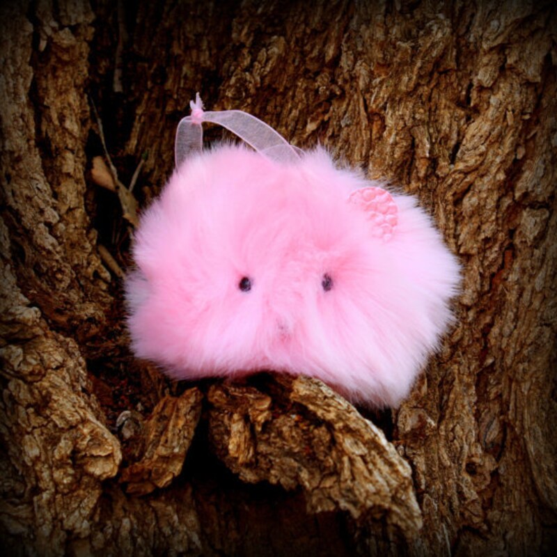 Pygmy Puff - Etsy
